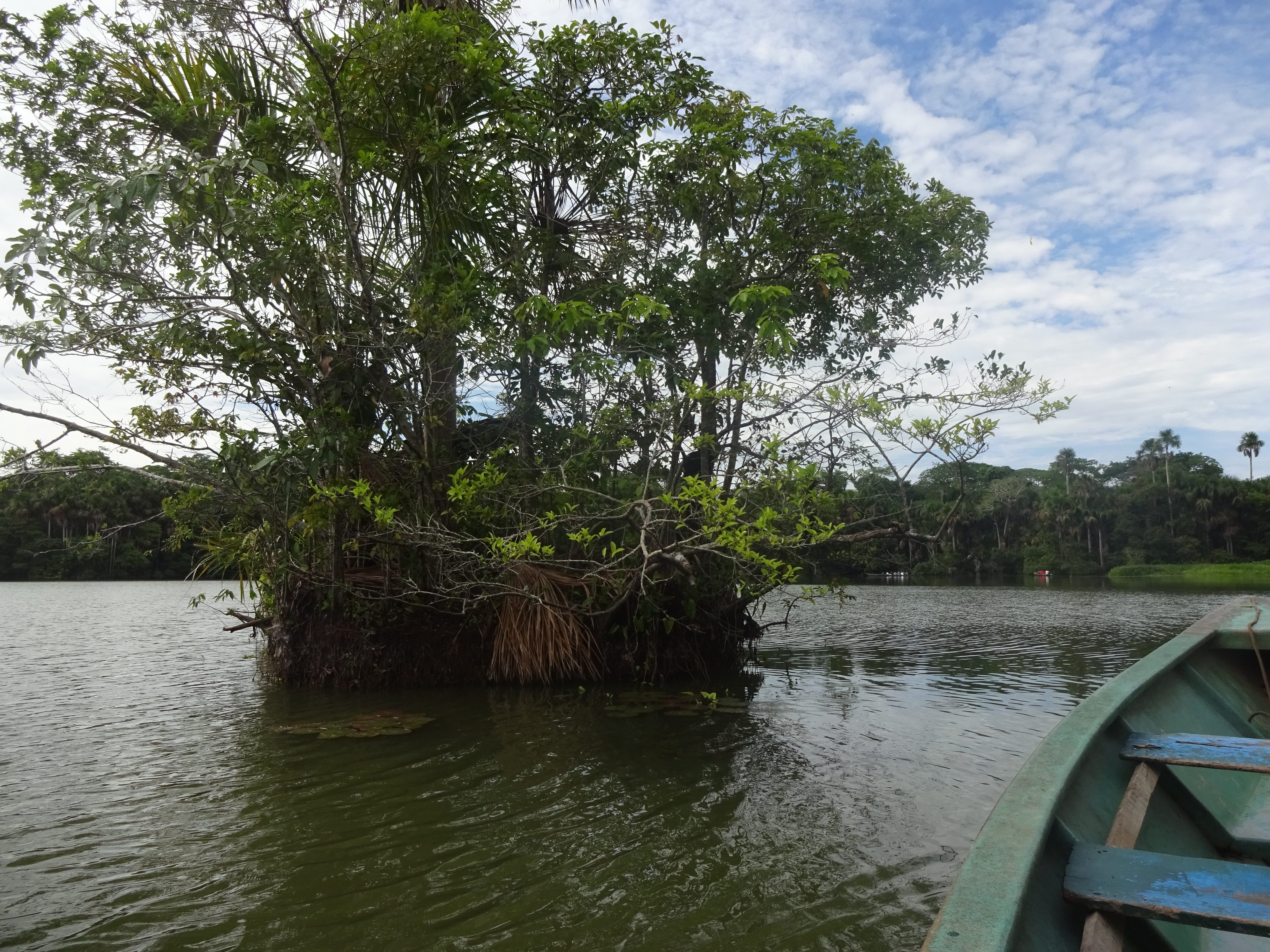 Customized trips - TAILOR MADE TRIPS